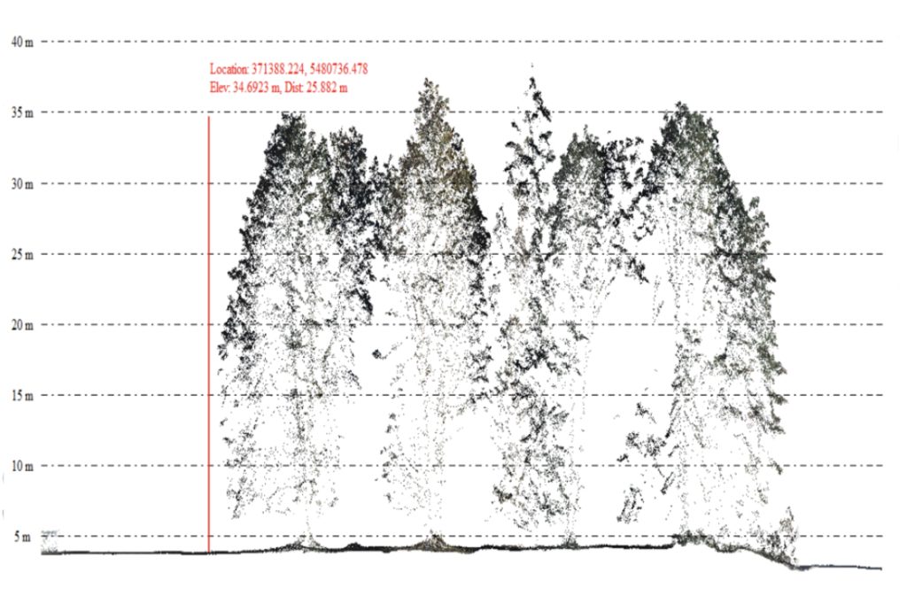 Forest Inventory Kîsik Geospatial And Aerial Survey