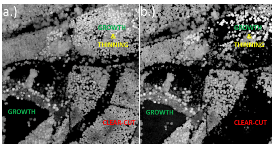 Change detection - Kîsik Geospatial & Aerial Survey