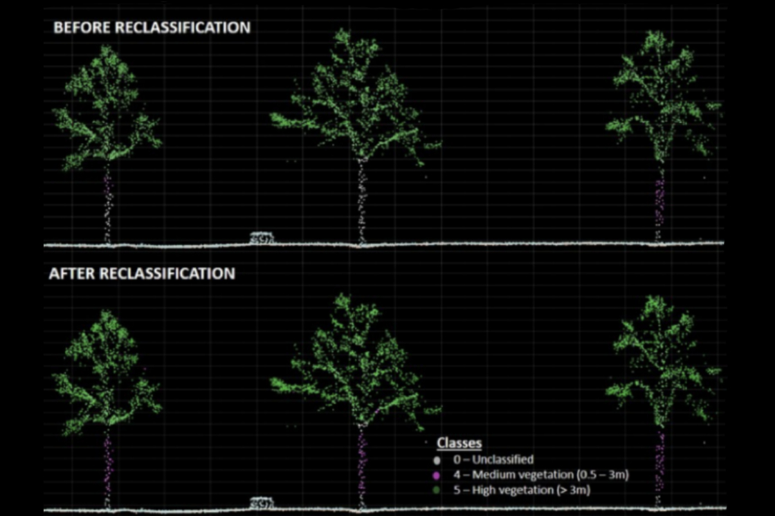 Forestry management - Kîsik Geospatial & Aerial Survey